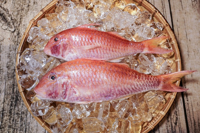 秋哥魚 :: Sanmeng